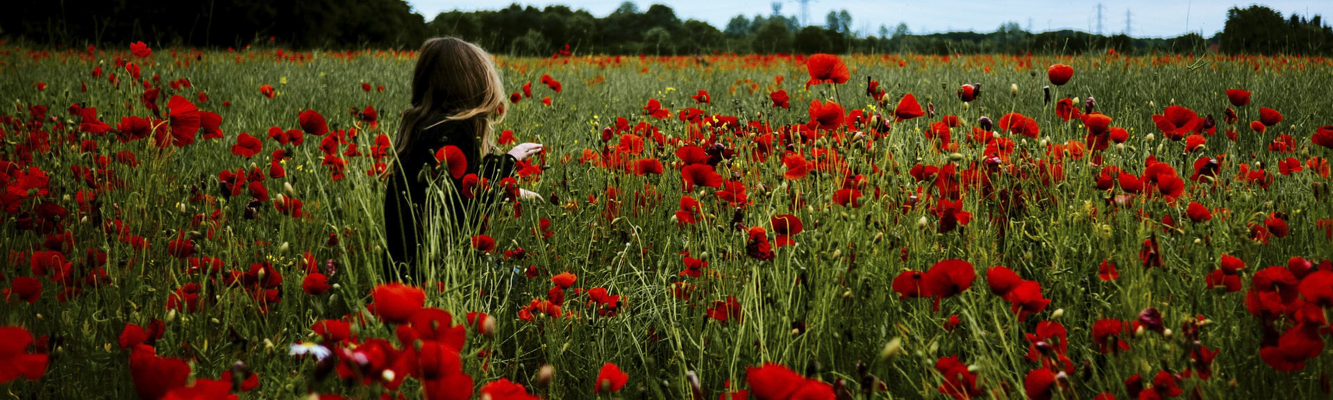 Canada's Home for Stunt Performers | StuntList