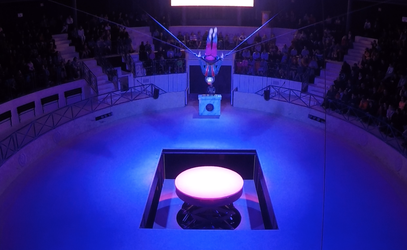 3D wire belt | StuntList