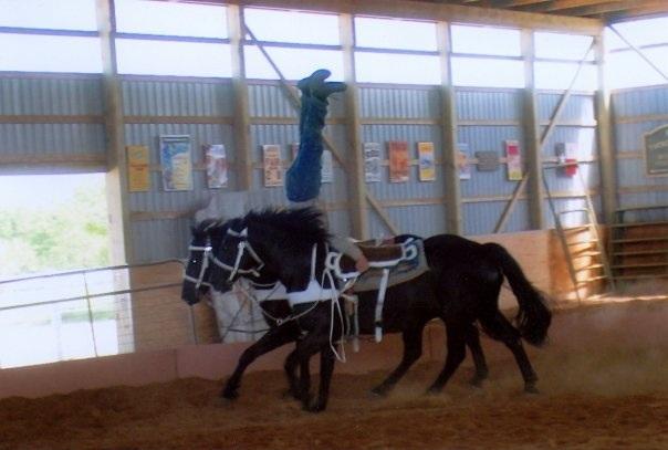 Shoulder stand while Roman Riding | StuntList